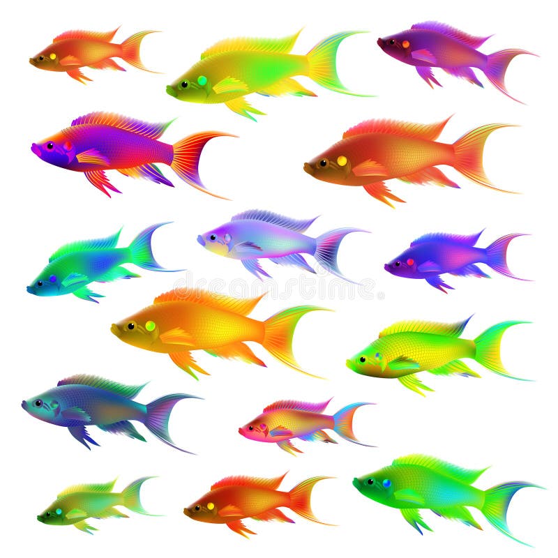 Set of colourful fish stock vector. Illustration of nature - 68564521