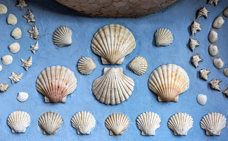 Set, Composition of Sea Shells Scallops on Blue Background Stock Image ...