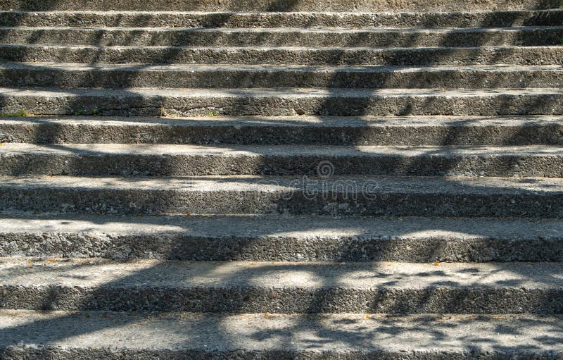 Set of Concrete Steps, Their Textured Surfaces Partially Shaded by Tree ...