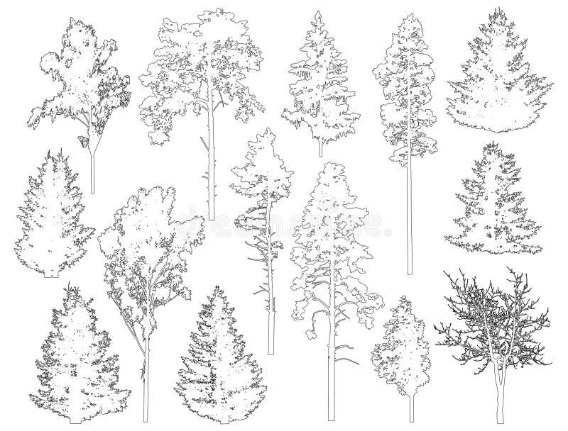 Set of Coniferous and Deciduous Trees for Architecture and Landscape ...