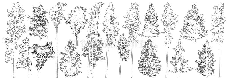Set of Coniferous and Deciduous Trees for Architecture and Landscape ...