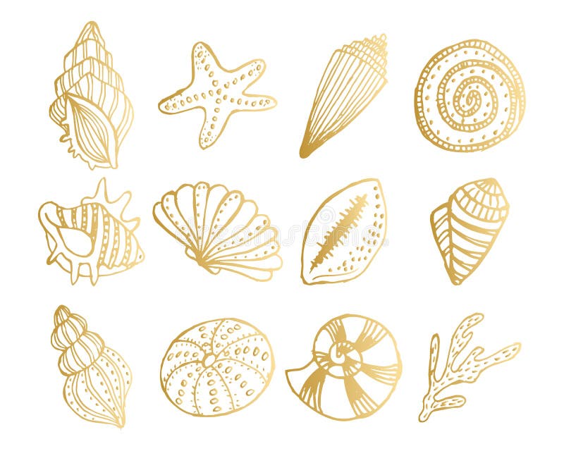 Set Of Contour Golden Seashells Hand Drawn Seashells Decor Elements
