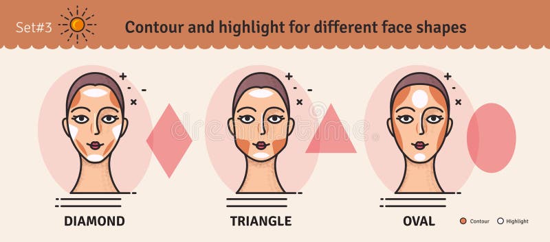 Set 3.Contouring and Highlight Makeup Guide. Vector Set of Different ...