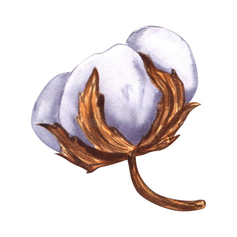 Cotton Boxes Stock Illustrations – 420 Cotton Boxes Stock Illustrations ...