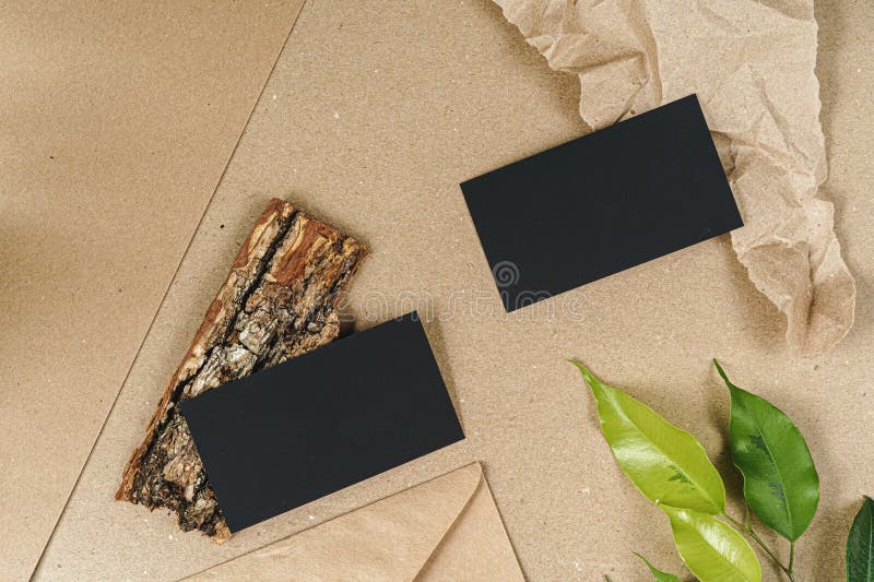 Set of Craft Elements with Copy Space and Green Leaves Stock Photo ...