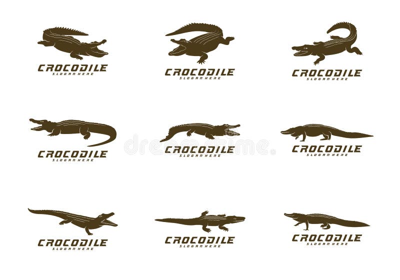 Set of Crocodile Logo Vector. Alligator Emblem Template Illustration ...