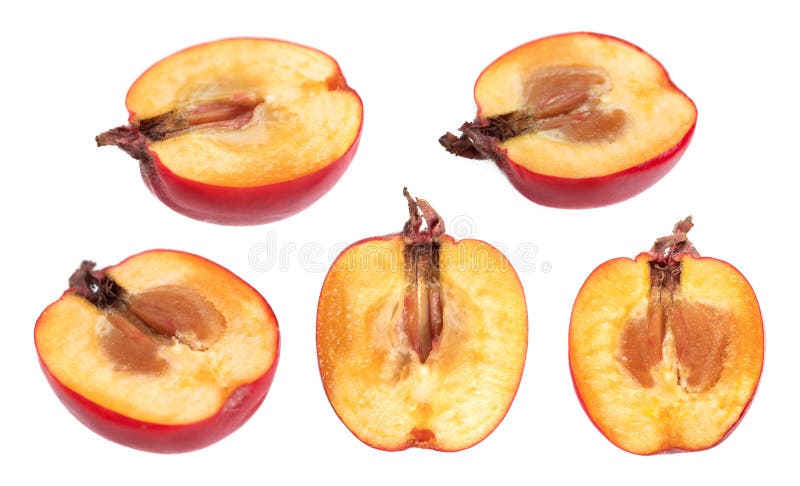 Set of Cut Hawthorn Berries on a White Background Stock Image - Image ...