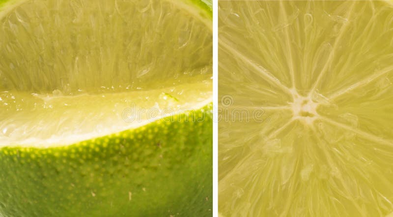 Set of Cut Limes - Lime Texture Stock Image - Image of citrus ...
