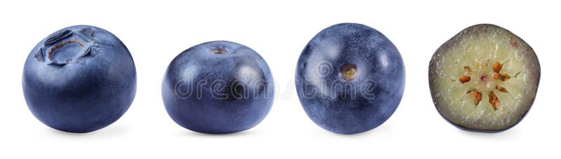 Set with Cut and Whole Blueberries Isolated on White Stock Photo ...