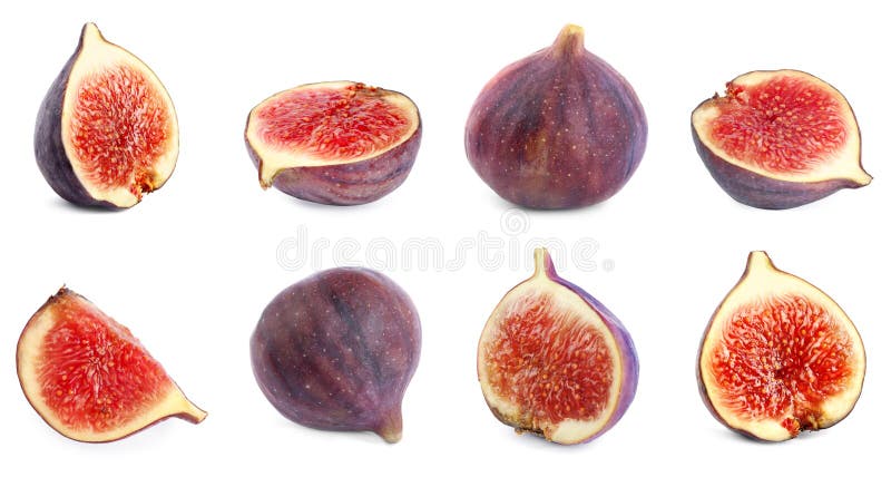 Set of Cut and Whole Figs on Background. Banner Design Stock Image ...
