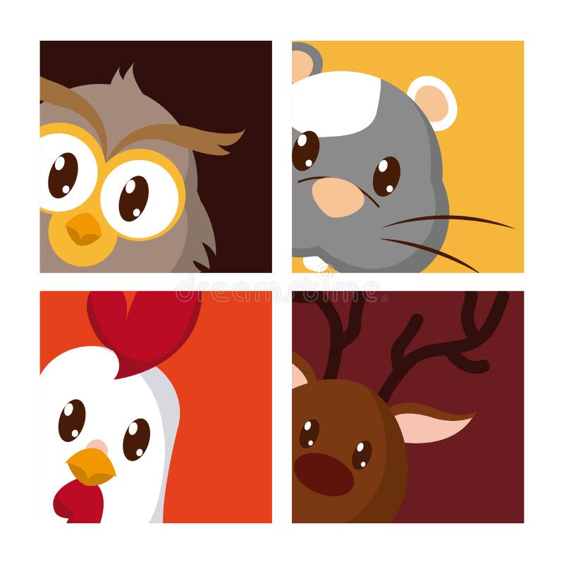 Wild Animals Jungle Square Stock Illustrations – 205 Wild Animals ...
