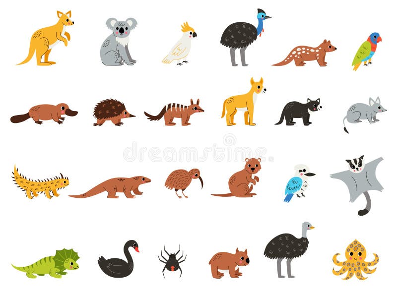 Set of Cute Australian Animals in Cartoon Style on White Background ...