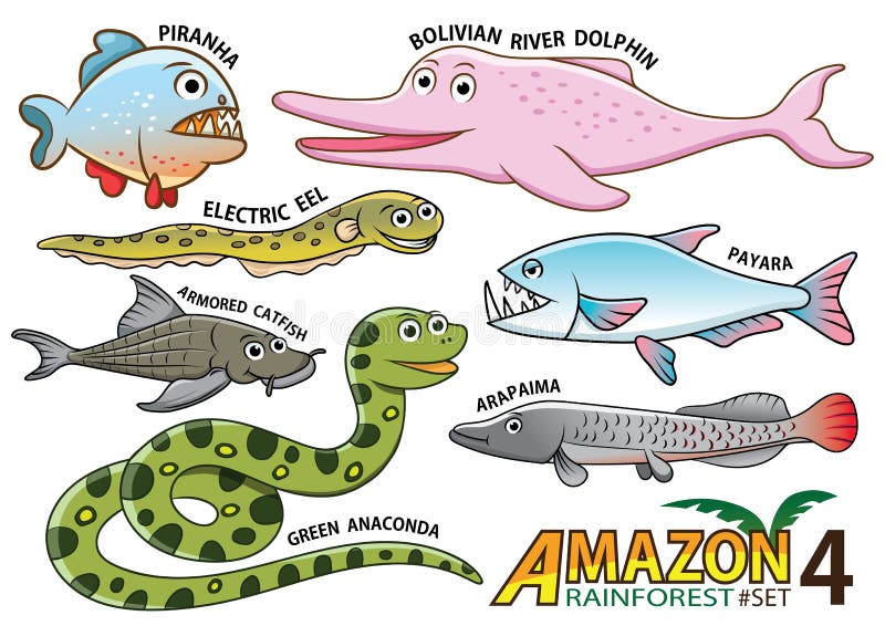 Amazon Rainforest Animals Stock Illustrations – 353 Amazon Rainforest ...