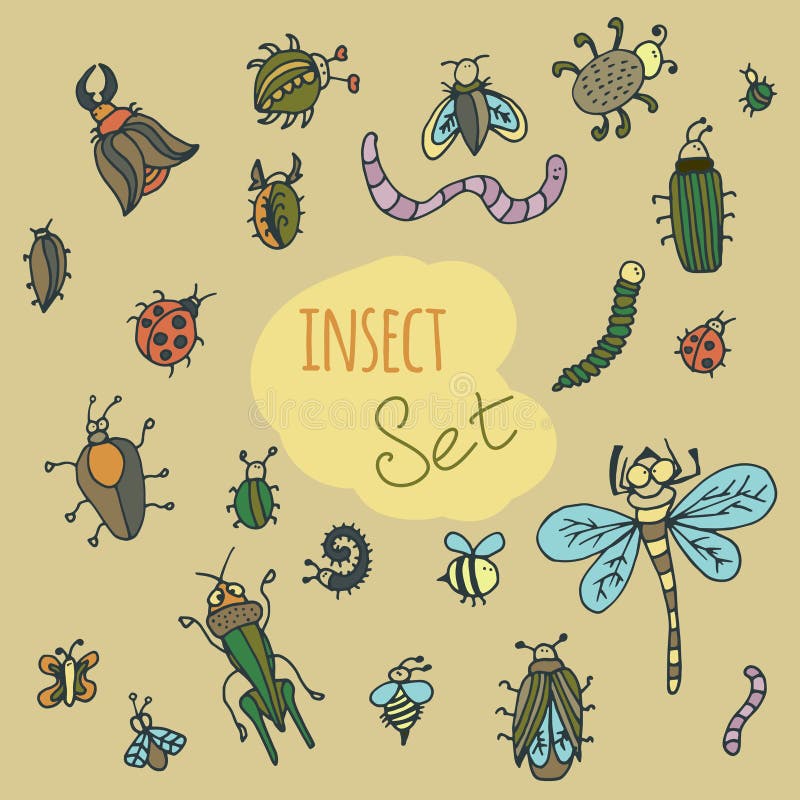 Cute Cartoon Insect Border Pattern. Summer Concept Background Stock ...