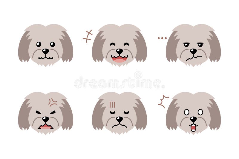 Set of Cute Character Cute Maltese Dog Faces Showing Different Emotions ...