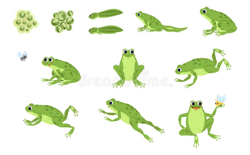 Set of Cute Frog and Frog Prince Cartoon Characters Stock Illustration ...
