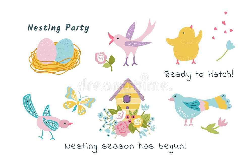 Set of Cute Graphic Elements for a Nesting Party Celebration. Vector ...