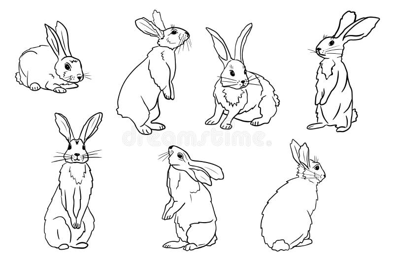 Set Of Cute Hand Drawn Outline Rabbits Stock Illustration