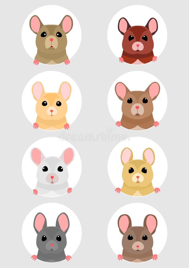 Cute mice face set stock vector. Illustration of life - 162356836