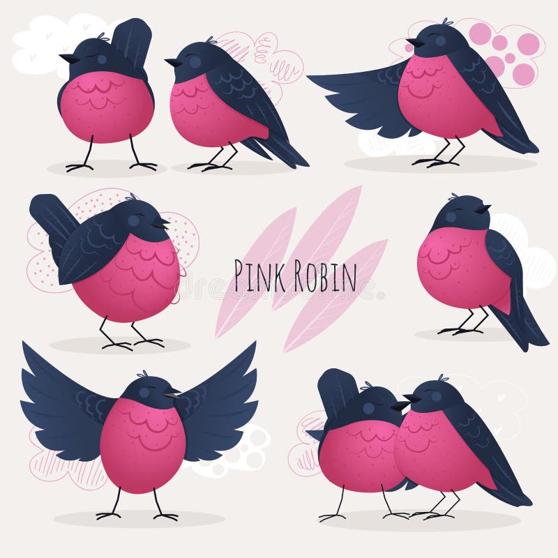 A Set of Cute Pink Robin Birds Stock Vector - Illustration of feather ...