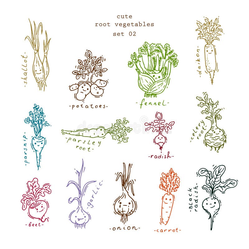 Set of Cute Smiling Root Vegetables Stock Illustration - Illustration ...