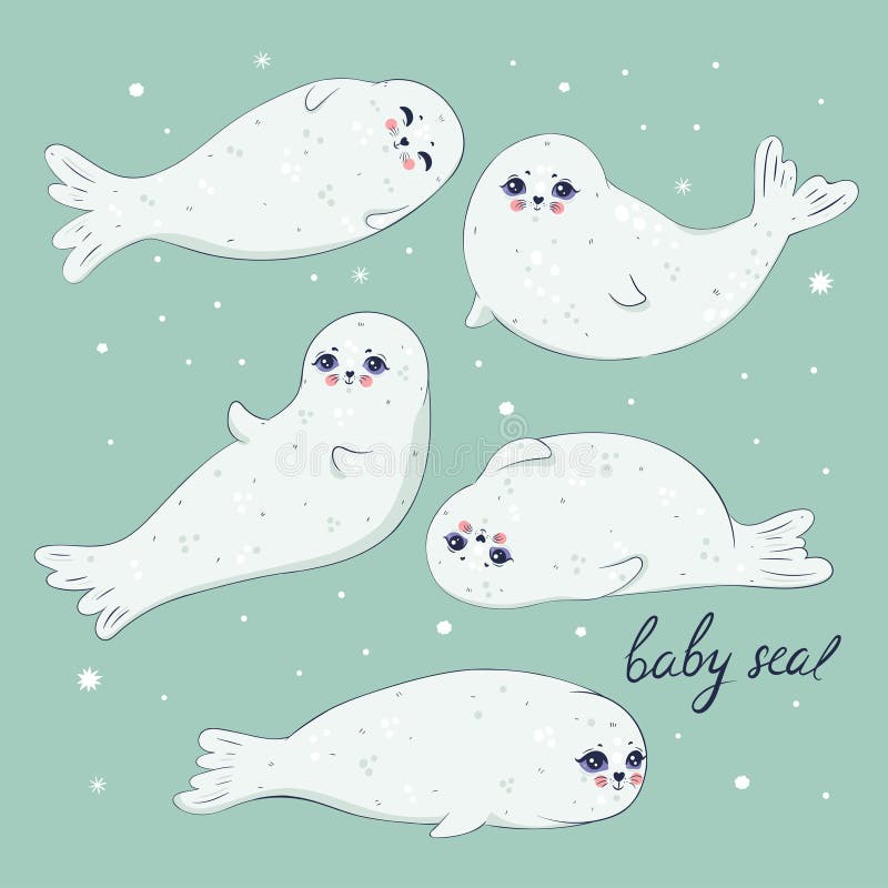Set of Cute White Baby Seals. Vector Graphics Stock Vector ...