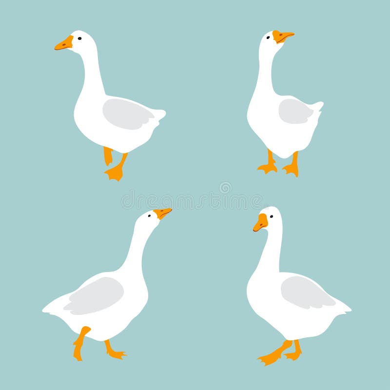 Set of Cute White Geese. Vector Goose Illustration Stock Vector ...