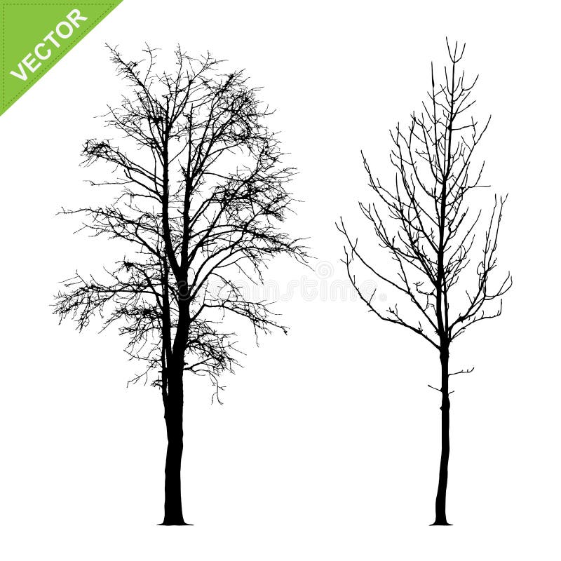 Dead Tree stock vector. Illustration of vacation, nature - 352627