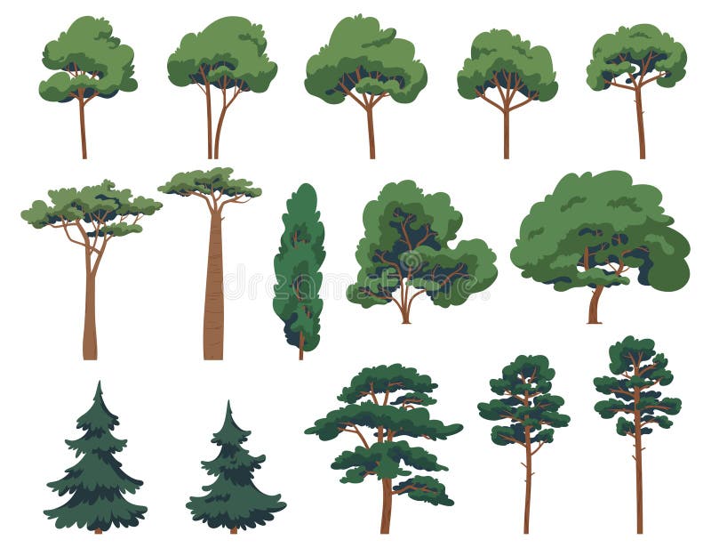 A Set of Deciduous and Coniferous Trees. Cartoon Plants. Forest with ...