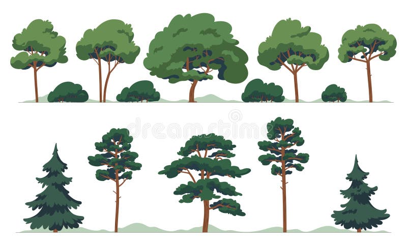 A Set of Deciduous and Coniferous Trees. Cartoon Plants. Forest with ...
