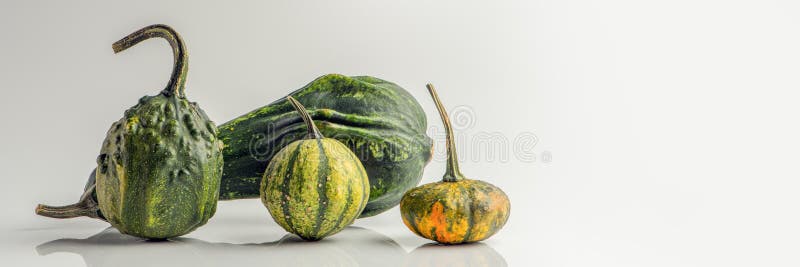 Set of Decorative Pumpkins on a White Isolated Background. Multi ...