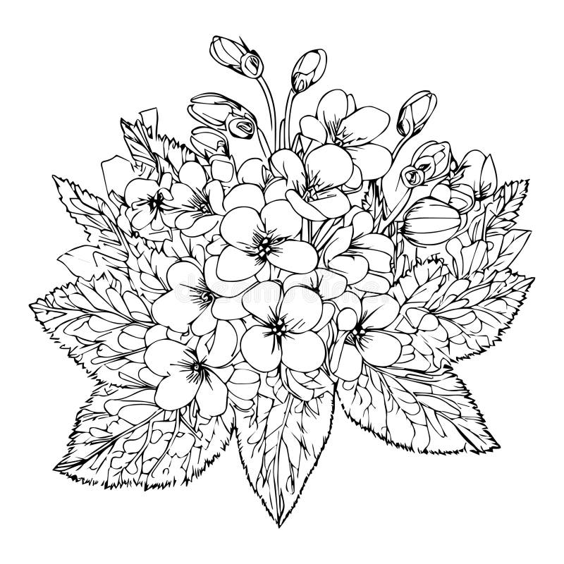 Primrose Line Stock Illustrations – 966 Primrose Line Stock ...