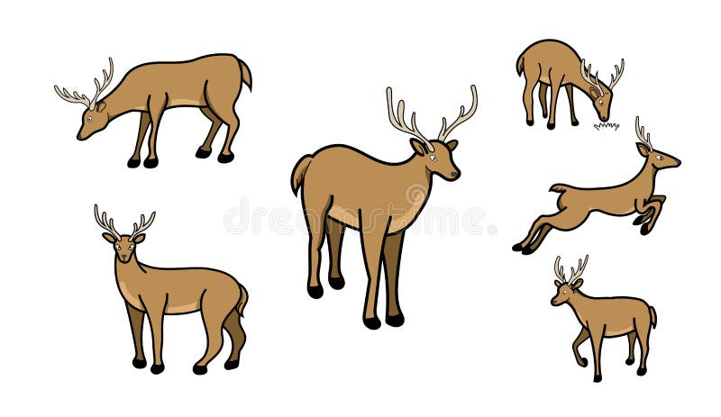 Set of Deer Vector Illustration Stock Vector - Illustration of ...