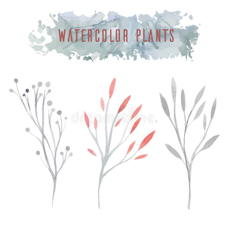 Set of Delicate Vector Watercolor Flowers Stock Vector - Illustration ...