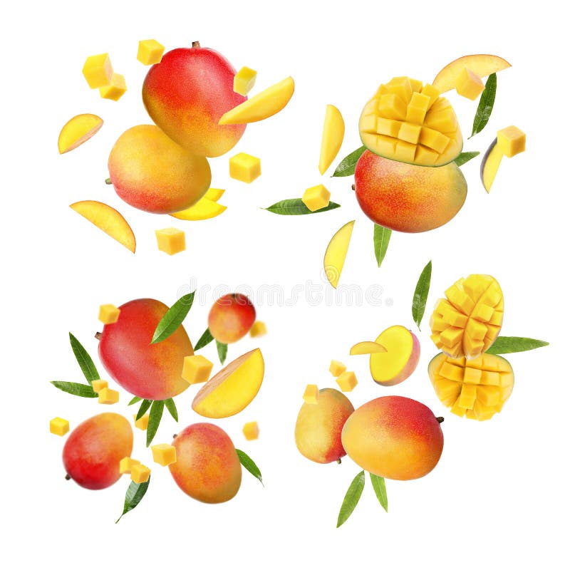 Falling Mango Stock Illustrations – 489 Falling Mango Stock ...