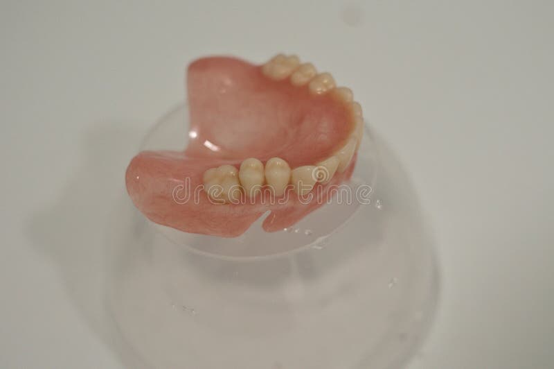 A Set of Dental Dentures on White Background Stock Photo - Image of ...