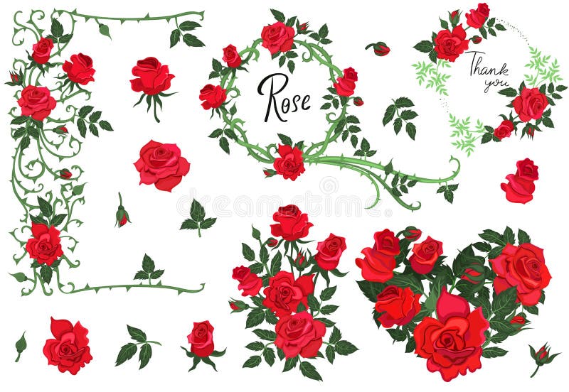 Round Frame of Thorns and Red Roses Isolated on a White Background ...