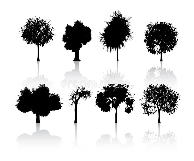 Set of detailed trees stock vector. Illustration of black - 5373331