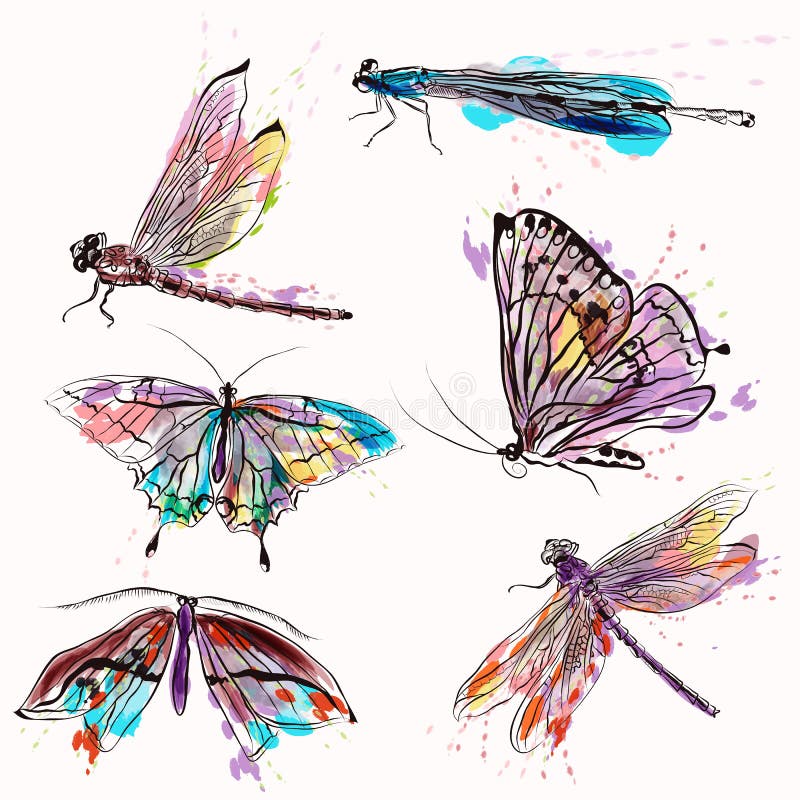 Set of Detailed Vector Butterflies for Design Stock Vector ...