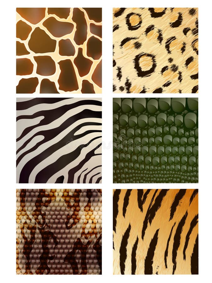 Pattern of animal print stock vector. Illustration of background - 25738078