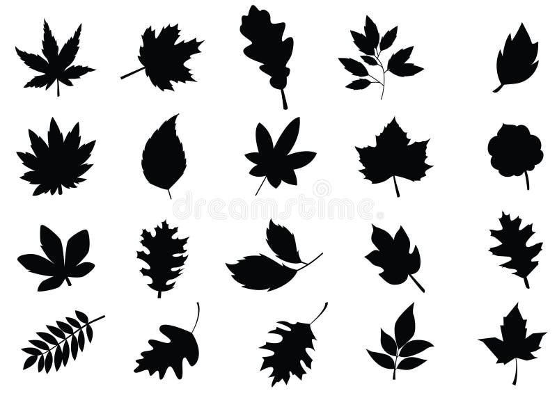 Set of Different Autumn Leaves Silhouette. Isolated Vector ...