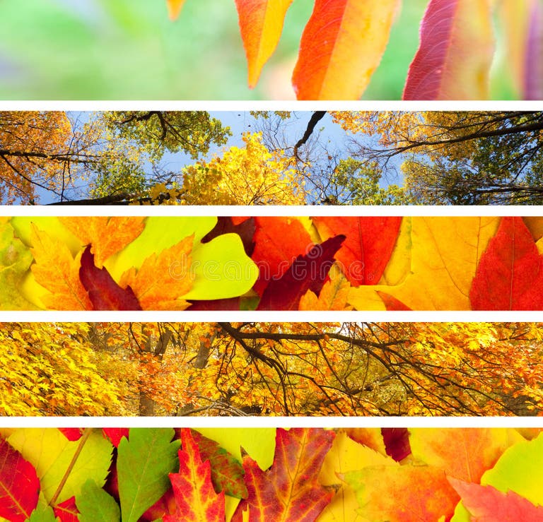 Set of 5 Different Autumn's Banners / Nature Backgrounds. Nature ...