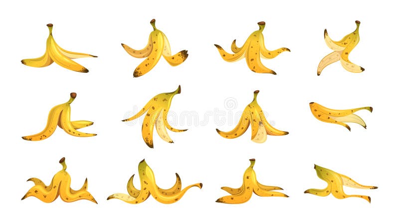 Set Of Different Banana Peels In Various Stages And Positions Isolated On White Background