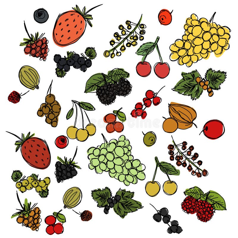 Set of Different Berries Painted in the Style of Children`s Drawing ...