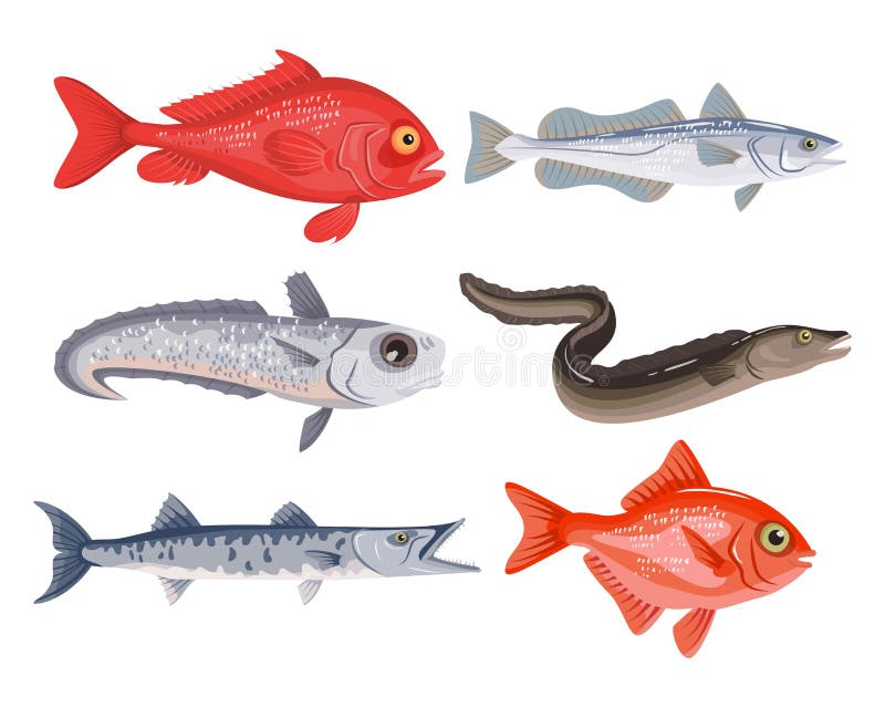 Hake Fillet Stock Illustrations – 38 Hake Fillet Stock Illustrations ...