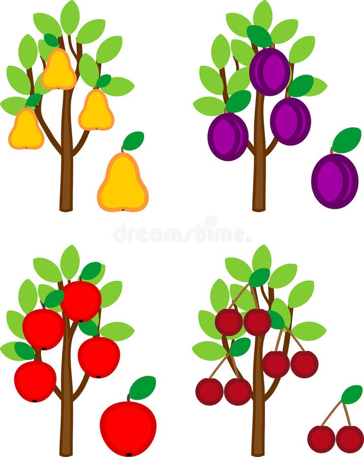 Different Cartoon Fruit Trees with Ripe Fruits and Green Crown in ...
