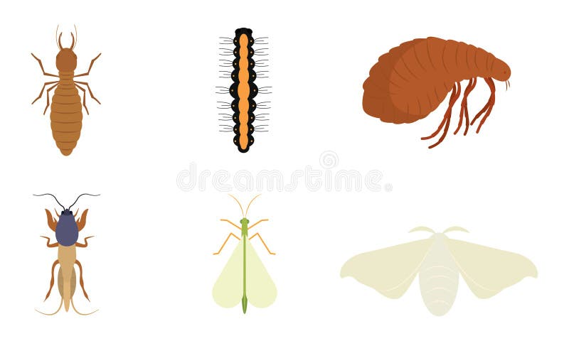 Set of Different Colored Insect Icons Vector Stock Vector ...