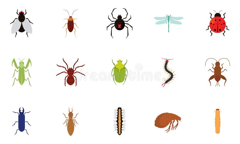 Set of Different Colored Insect Icons Vector Stock Vector ...