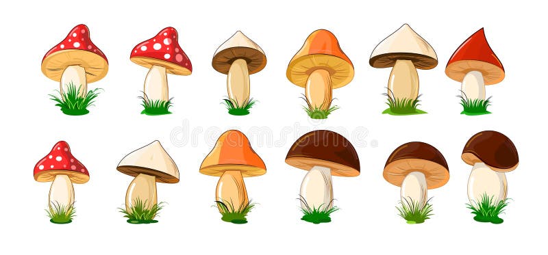 Set of Different Colored Mushrooms in Cartoon Style. Objects Isolated ...