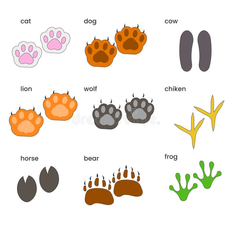 Set of Different Colored Paws of Animals. Vector Illustration Stock ...